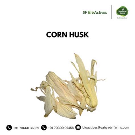 A Grade Dry Sweet Corn Husk Plastic Bag Packaging Size 10 Kg At ₹ 35