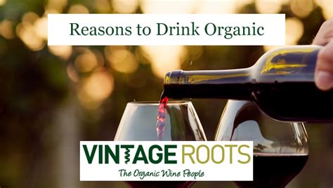 Organic Wine Biodynamic Wines Vintage Roots