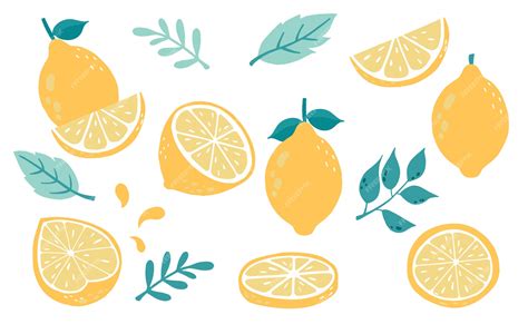 Premium Vector Cute Lemoncitrus Object Collection