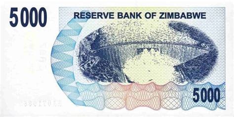 C 1831 Zimbábwe 5000 Dollars Fe Floriano Numismática Moedas E