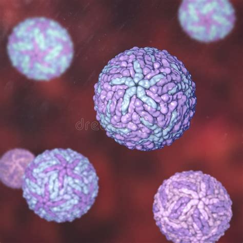 вирусы денге 3d иллюстрация штока иллюстрации насчитывающей структура 287387885