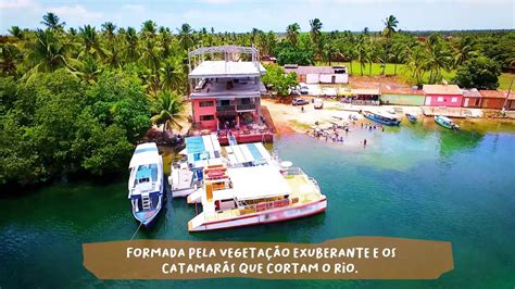 Tudo sobre o município de Brejo Grande Estado de Sergipe Cidades do