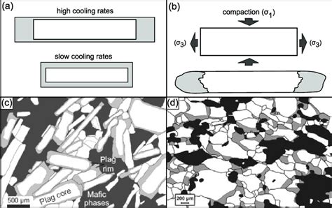 Schematic Representations Of Zonation In Plagioclase A Concentric Download Scientific