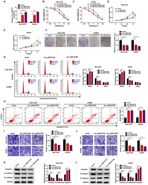 Circ0001017 Overexpression Impeded Cell Growth Metastasis And