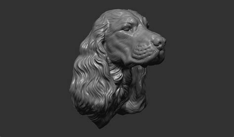 English Cocker Spaniel Bust 3d Print Model By Guninnik81