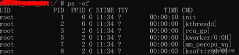 Linux Ps A 和 Ps Ef Csdn博客
