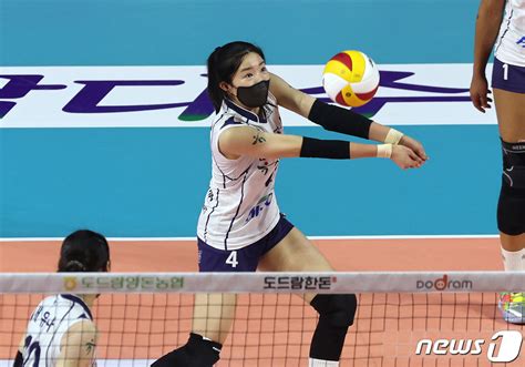 전새얀 가볍게 네이트 스포츠