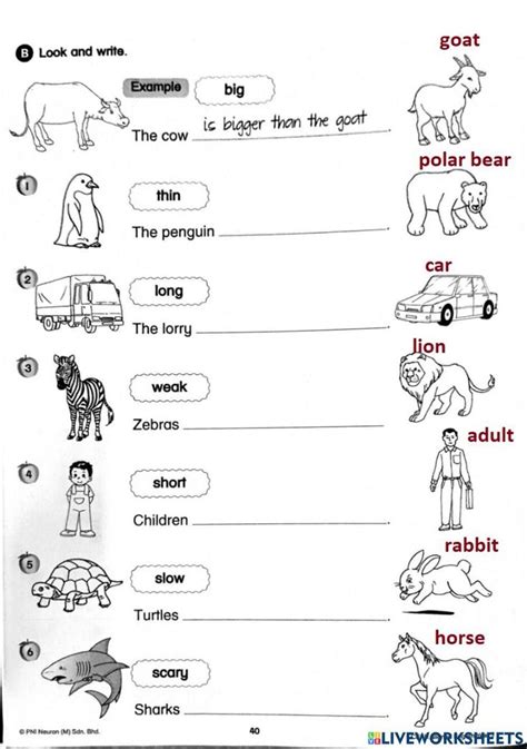Comparative Adjective Sentence Building Worksheet Comparative
