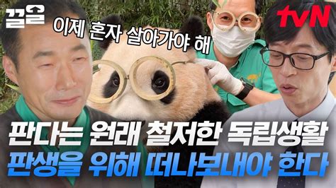 맞는 말만 하는 강바오😭 이게 찐 사랑이지🤍 누구보다 푸바오를 생각하는 게 느껴지는 강철원 자기님🖤 유퀴즈온더블럭