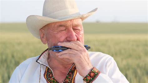 An Old Ukrainian Grandfather In An Embroidered Jacket Sits On A Wheat