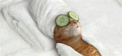 Dont Want A Happy Ending Here Are 5 Legit Massage Places To Try Out