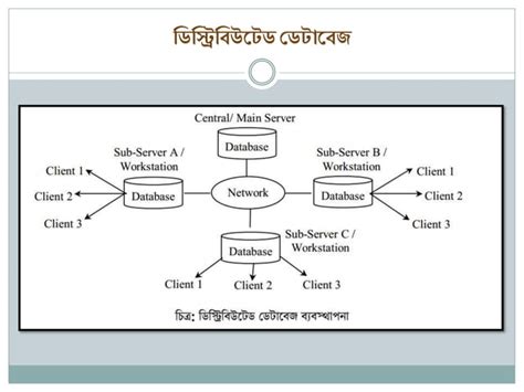 Database Overview In Bangla Ppt