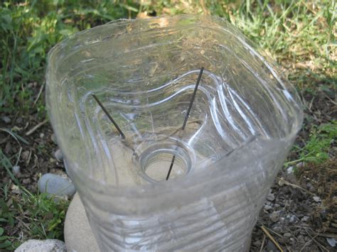 DIY Small Game Trap Learn To Build A Better Mousetrap