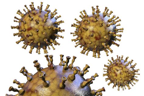 Chickenpox Virus Photograph By Kateryna Konscience Photo Library