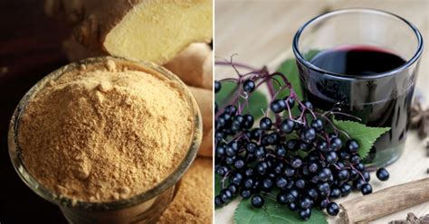 Antiviral Herbs 10 Natural Solutions To An Array Of Health Concerns