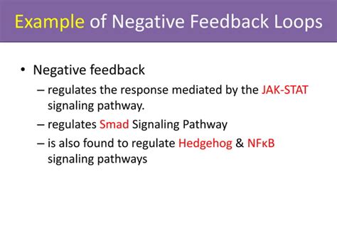 Negative Positive Feedback In Cell Signaling PPTX