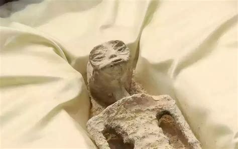 Create Meme Mummified Body The Mummy Is Real The Peruvian Mummy