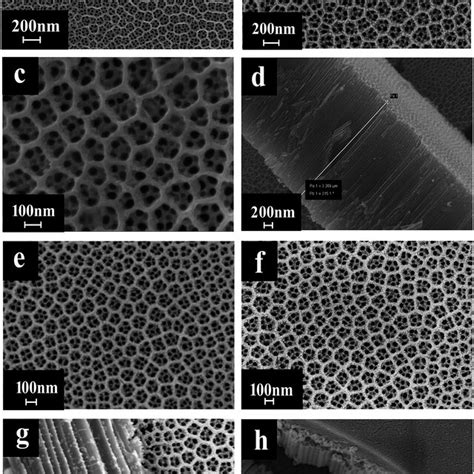 SEM Images Of A TiO2 NTs B 20 S Au TiO2 NTs C 30 S Au TiO2