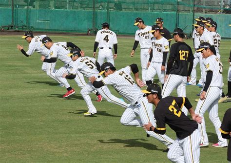 ウォーミングアップで先頭を走る（左から）大山、佐藤輝、中野、西純、伊藤将（撮影・大森 寛明） ― スポニチ Sponichi Annex 野球