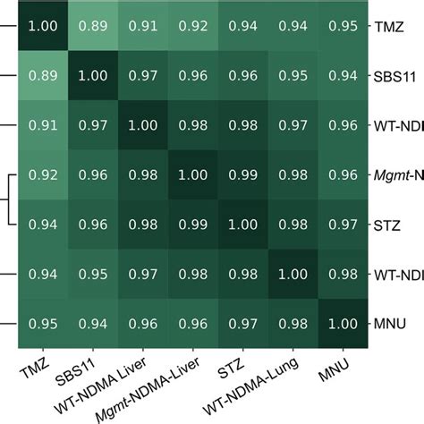 Cosine Similarity Matrix Of The Mutational Spectra Of Ndma Treated Wt Download Scientific