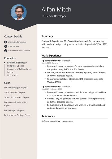 sql server developer resume examples template and 20 tips