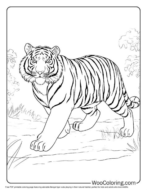 Chicago Cubs Printable Coloring Pages [2025]