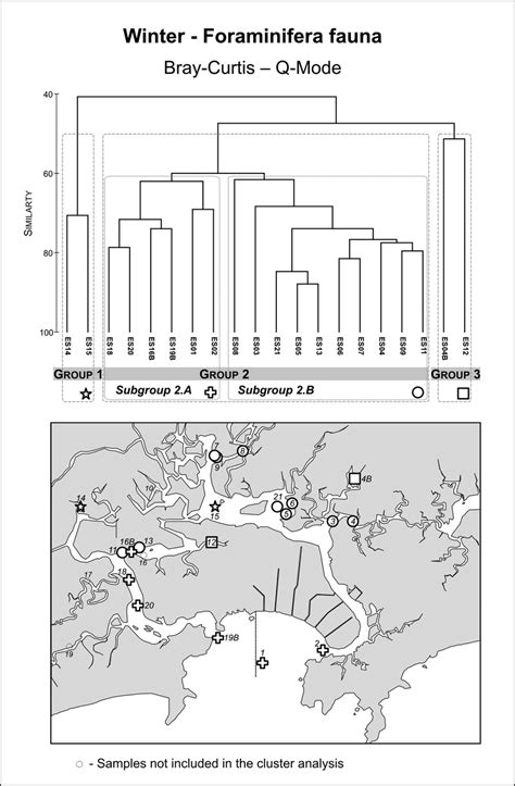 Dendrogram Classifications Q Mode Showing Stations Grouped By Faunal Download Scientific