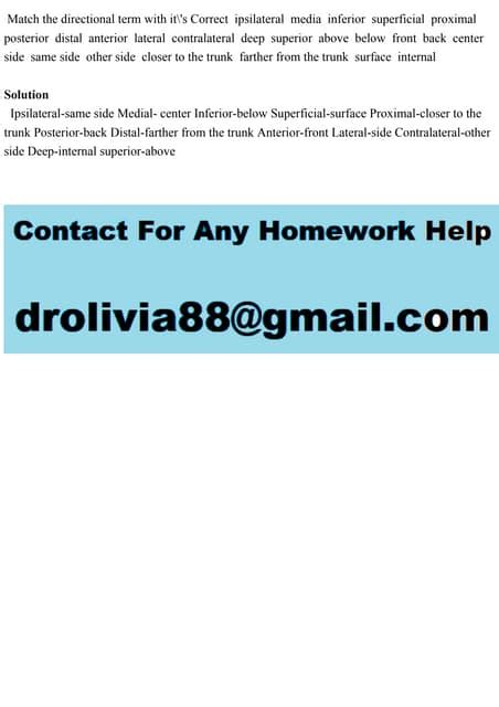 Match The Directional Term With Its Correct Ipsilateral Media In Pdf