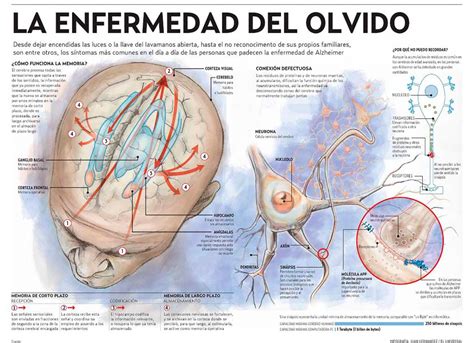 La Enfermedad Del Olvido Invdes