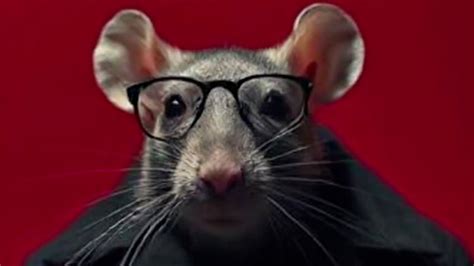 Tim Cheese Know Your Meme