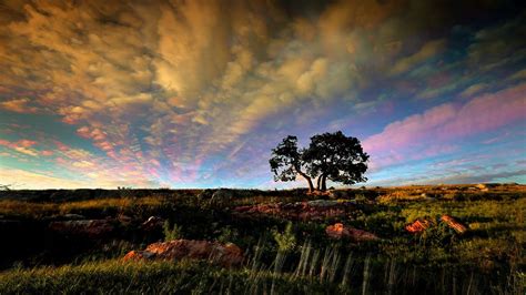 Sunlight Landscape Sunset Hill Nature Grass Sky Field House