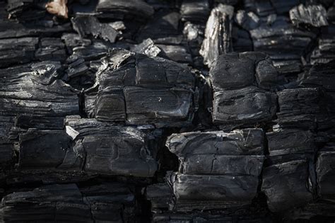 Comment Le Bilan Carbone Aide à Réduire Lempreinte écologique