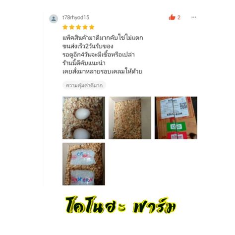 ไข่เชื้อไก่ชนสายเยียร์ม้าล่อสุดยอดไอคิวสายเทาแสนนันทาราม Supervip