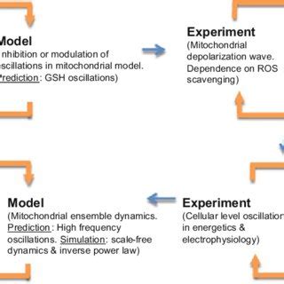 3 Overview Of The Experimental Computational Synergy As Applied To The