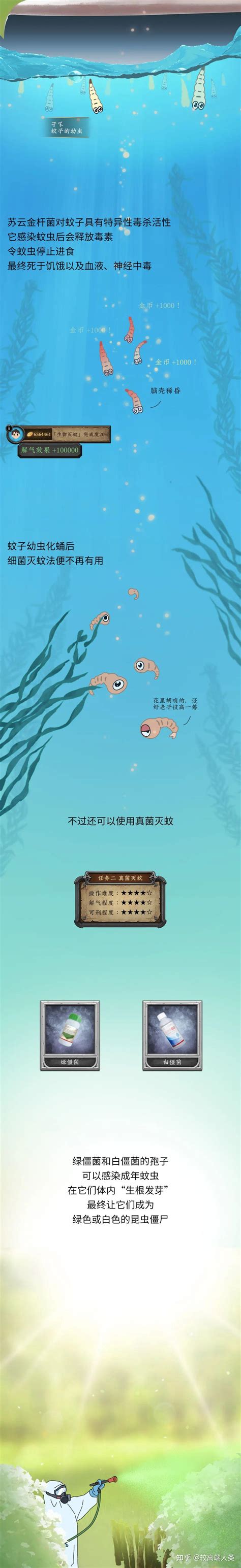 为了灭绝蚊子人类都发明过哪些酷刑 知乎