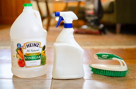 How To Remove Ants Naturally With Cleaning — Pest And Pollinator