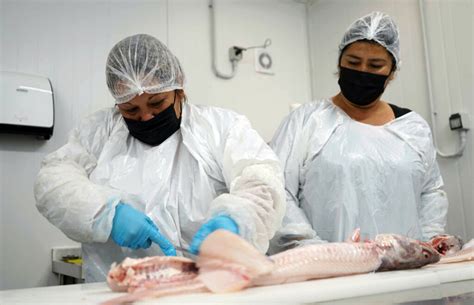 AgregaciÓn De Valor A Productos De Pesca Artesanal