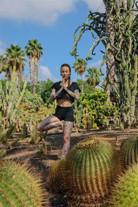 Improving Flexibility And Mobility Simple Tips Seismic Sports Coverage™