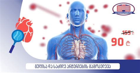 გულისა და საძილე არტერიების გამოკვლევა