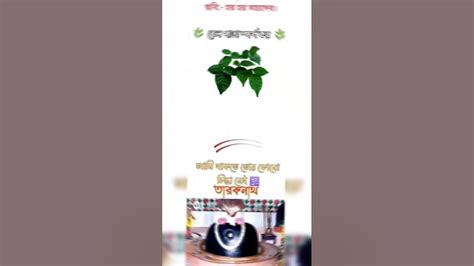ছবি হর হর মহাদেব। Youtube