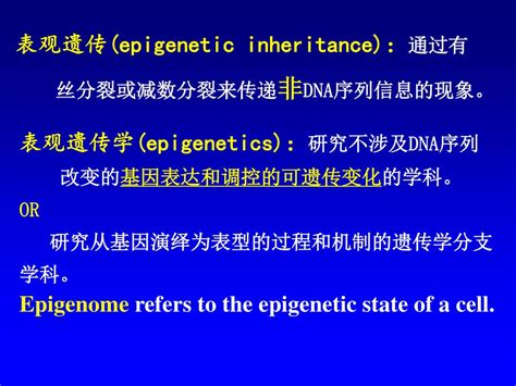 Ppt Gene Mutation Polymorphism Gene Mapping And Identification （ From Genotype To Phenotype