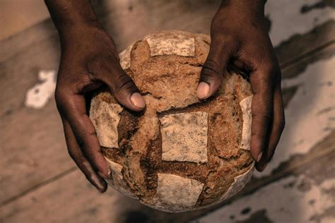 Regenerative Grain Directory Sustainable Table