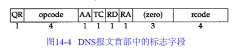 Dns Jamin Zhang