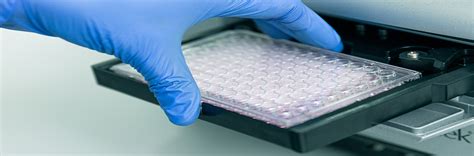 Biocompatibility Testing Viroxy