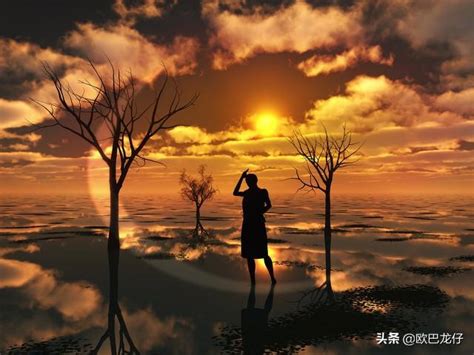 阿爾及利亞60℃高溫駱駝被熱暈，我國40℃高溫來襲？地球怎麼了？ 每日頭條