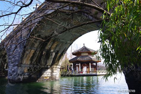 西湖黛色参天高清图片下载 红动中国
