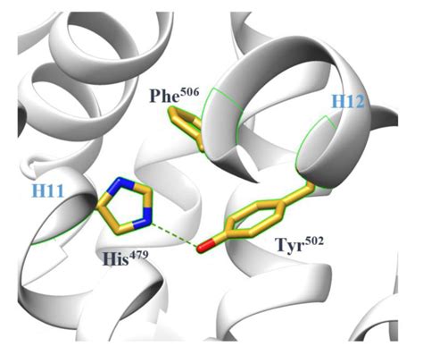 Rorγ Structural Plasticity And Druggability Pmc