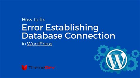 Step By Step Guide To Fix Common SSL Issues In WordPress ThemeD