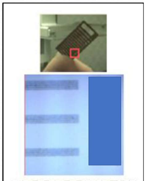 Nucs Mqsa And Misc Trivia Flashcards