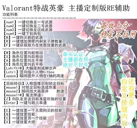 朋友说他买了个辅助 看着确实厉害瓦罗兰特游民星空
